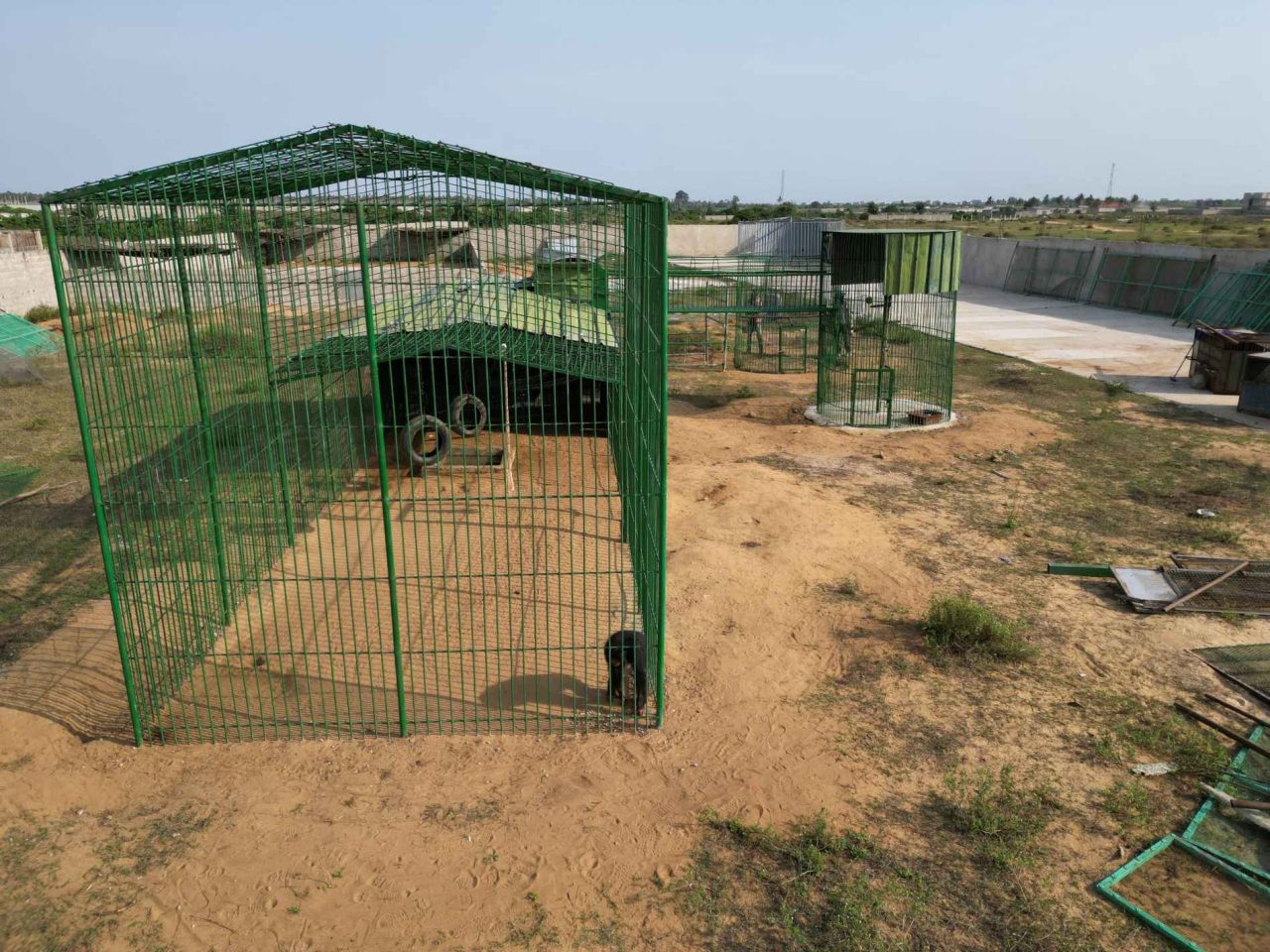 Nos Projets - RWF ROOTS WILD FOUNDATION